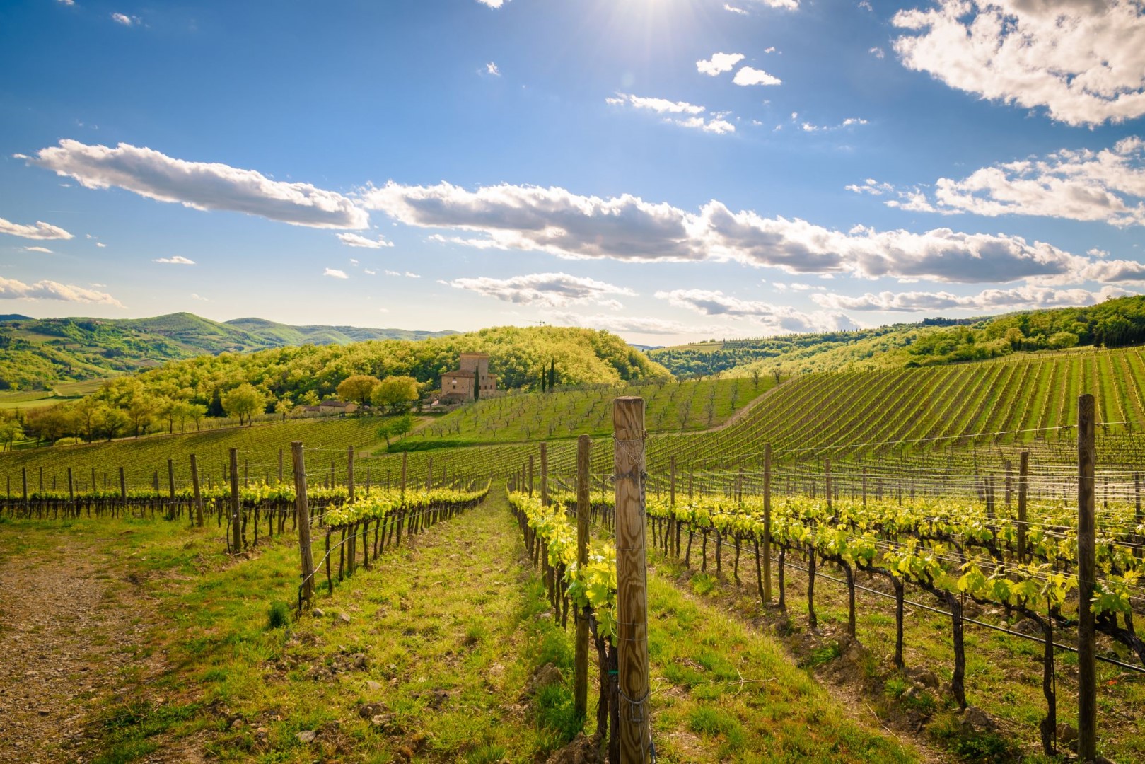 Tuscan Wine Tour vineyards in italy rome by limo