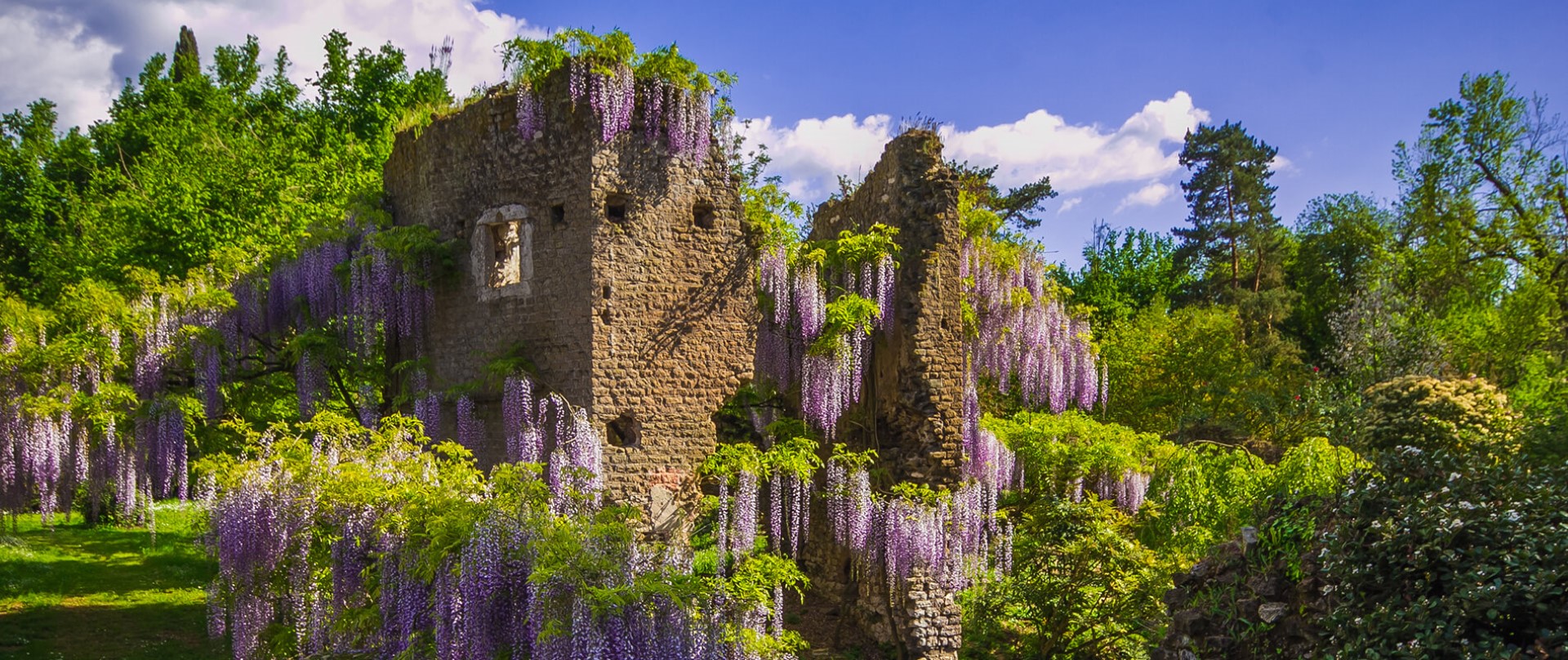 The magic of Ninfa Gardens day trips tour guide